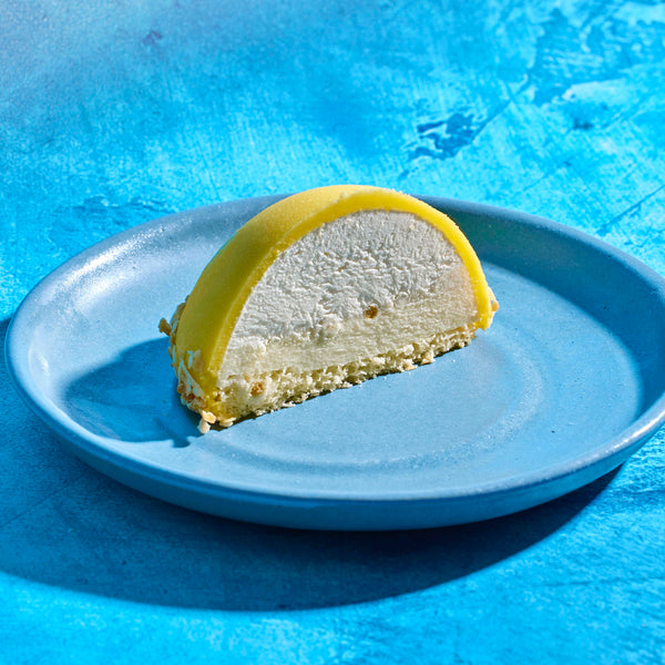 Raspberry Chocolate Bombe from Noe Valley Bakery in San Francisco, CA