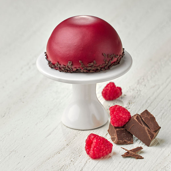 Raspberry Chocolate Bombe from Noe Valley Bakery in San Francisco, CA