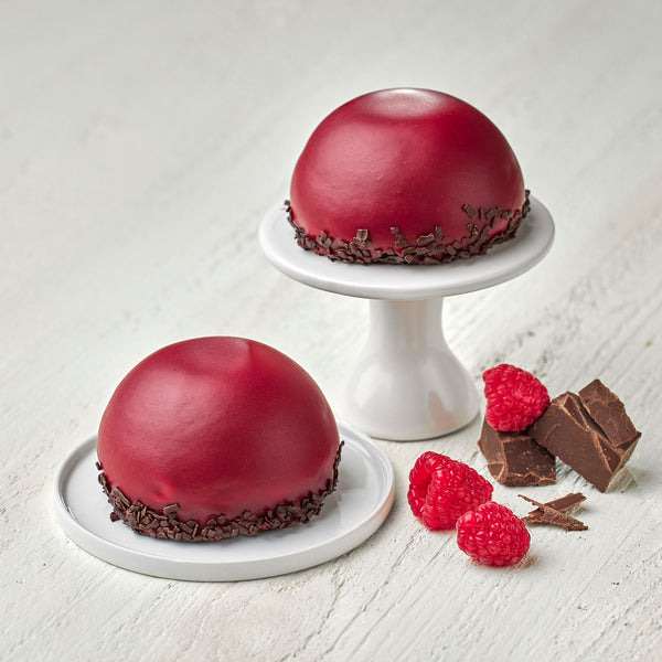 Raspberry Chocolate Bombe from Noe Valley Bakery in San Francisco, CA