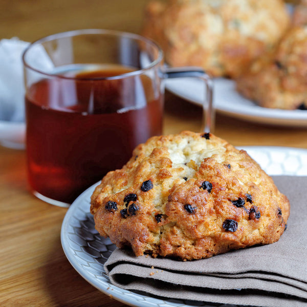 Currant Orange Scone - Noe Valley Bakery