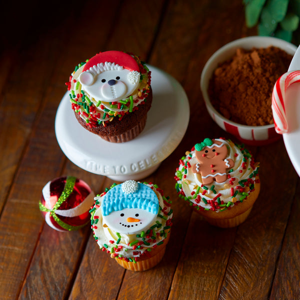 Chocolate Christmas Cupcake - Noe Valley Bakery