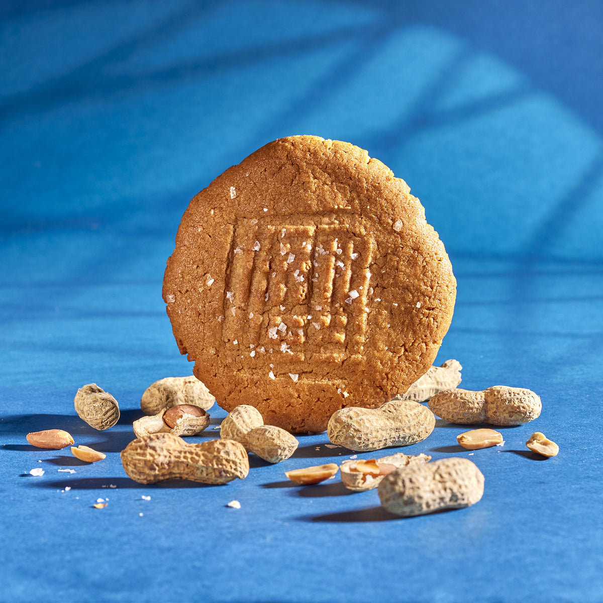 Cookies - Noe Valley Bakery